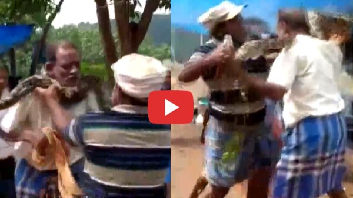 Video: 10 फुट के अजगर को छेड़ना पड़ा भारी, गले में फंदा लगा के ऐसा ...
