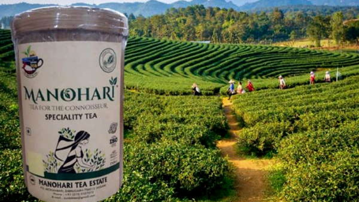 ये है सबसे महंगी चाय की पत्ती, असम में 99,999 रुपए की 1 किलो बिकी, कैसा ...