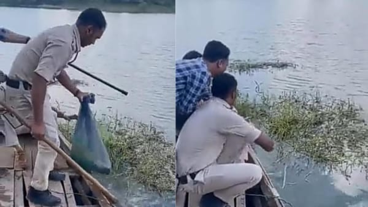 Rewa News: मछलियों की जगह टमस नदी में मिल रही अवैध शराब, नाव से पहुंची ...