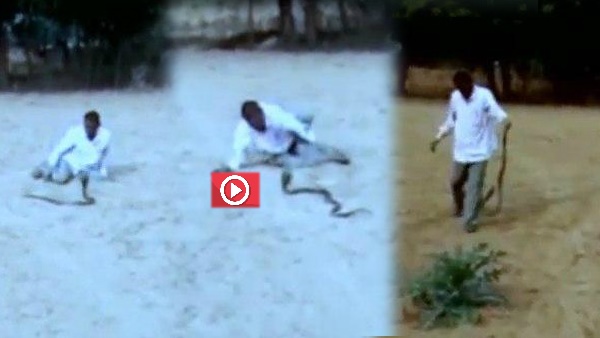 सांप के साथ खेलता रहा नशे में धुत यह शख्स, बन आई जान पर, देखें वीडियो ...