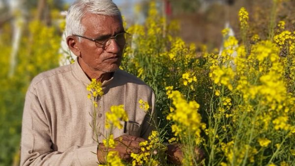 Sundaram Verma Sikar 3 बार लगी सरकारी नौकरी ठुकराकर अपनाई खेती मिलेगा पद्म श्री अवार्ड