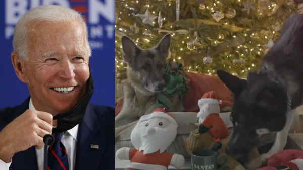 Biden ने शेयर किया अपने डॉग्स का Cute Christmas Video, खूब हो रहा वायरल ...