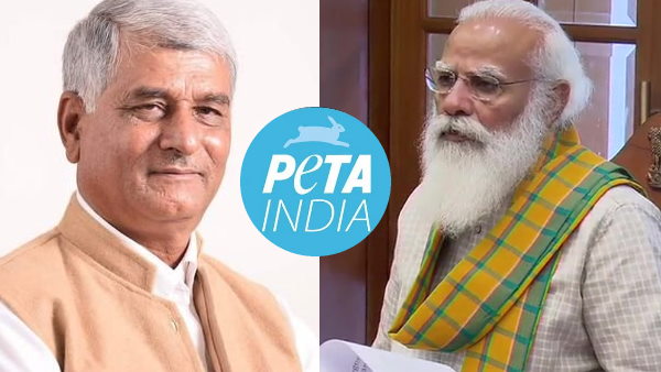 अमूल ने PM मोदी को पत्र लिखकर की PETA को बैन करने की मांग, विदेशी साजिश ...