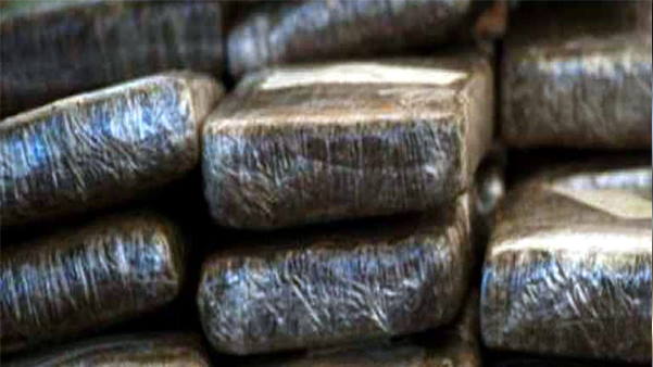 पंजाब में बाइक पर 26 किलो भुक्की लेकर जा रहा था नशा-तस्कर, महिला एसएचओ ...