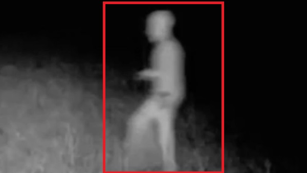 बिना कपड़ों के 'एलियन' कैमरे में कैद, बल्बनुमा था उसका सिर, फोटो हुई ...