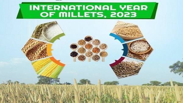 Millets : इन अनाजों से बनते हैं 'सुपरफूड', बाजरा जैसे मिलेट्स की खेती ...