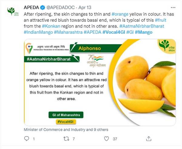 GI Tag Mango : 'फलों का राजा' क्या आपको मिला ? इन राज्यों की विशेषता ...