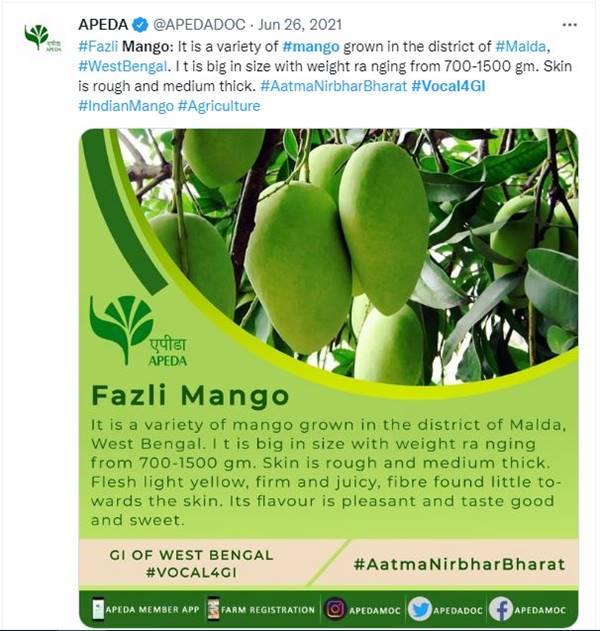 GI Tag Mango : 'फलों का राजा' क्या आपको मिला ? इन राज्यों की विशेषता ...