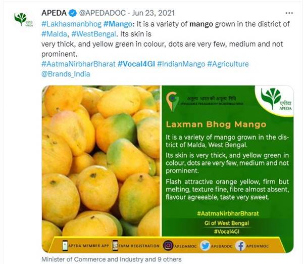 GI Tag Mango : 'फलों का राजा' क्या आपको मिला ? इन राज्यों की विशेषता ...