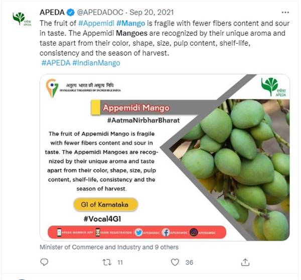 GI Tag Mango : 'फलों का राजा' क्या आपको मिला ? इन राज्यों की विशेषता ...