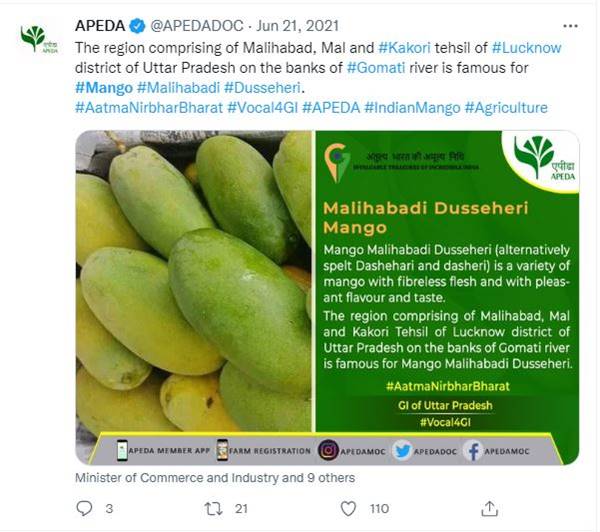 GI Tag Mango : 'फलों का राजा' क्या आपको मिला ? इन राज्यों की विशेषता ...