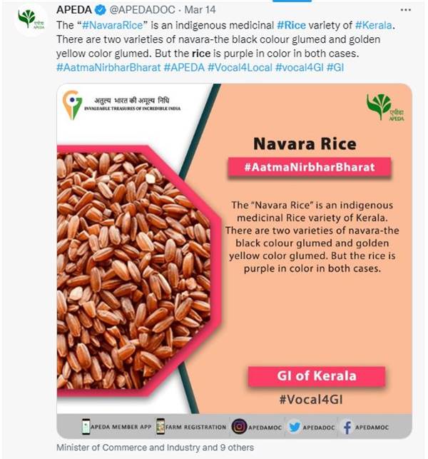 GI Tag Rice : भारतीय चावल की 15 किस्में दुनियाभर में हैं मशहूर, जानिए ...