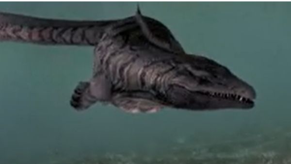 टूटे दांतों वाला 'निर्दयी' दैत्याकार जीव, जो करोड़ों साल पहले समुद्र पर ...