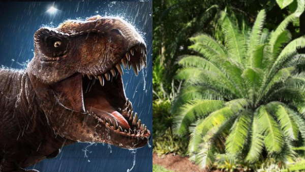 Chhattisgarh में आज भी है Dinosaur का भोजन, लाखों साल पहले धरती पर थे ...
