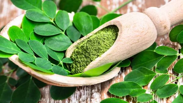Moringa Benefits: क्या होता है मोरिंगा, क्यों बढ़ रही है दुनिया भर में ...