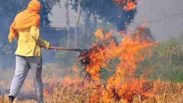 पंजाब में पराली जलाने पर सख्ती हुई मान सरकार,संगरूर में मुख्य कृषि ...