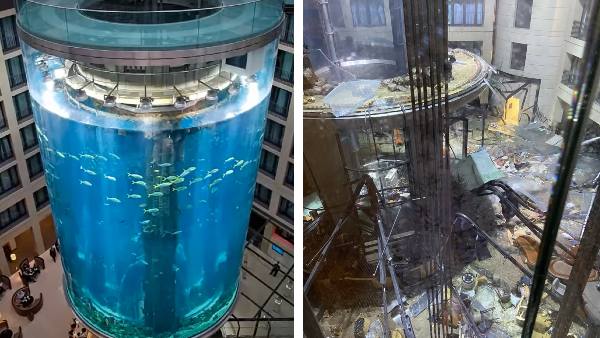 VIDEO: दुनिया का सबसे बड़ा 'फ्री स्टैंडिंग एक्वेरियम' टूटा, 1500 ...