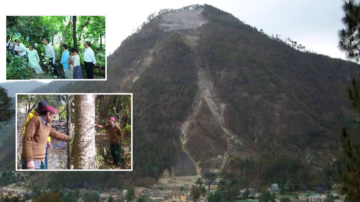 Joshimath sinking प्रकरण से उत्तरकाशी के पर्यावरण प्रेमी चर्चा में ...