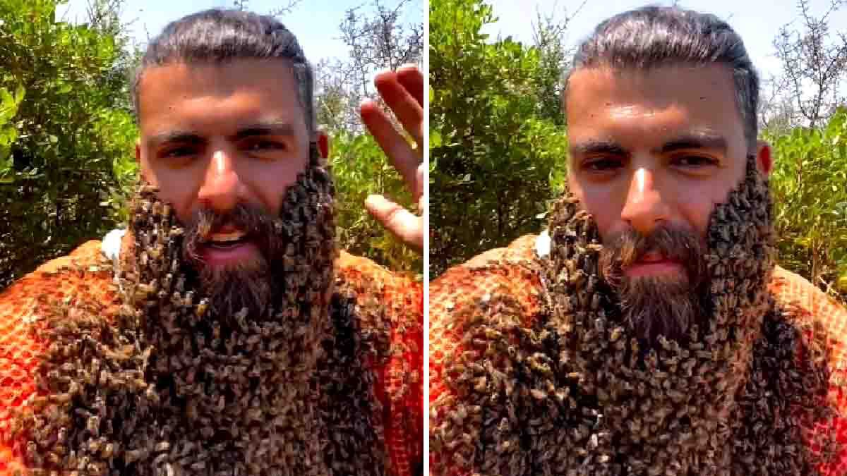 Shocking! शख्स की दाढ़ी में चिपकी हजारों मधुमक्खियां, वायरल वीडियो देख ...