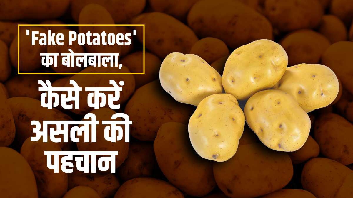 आलू को लेकर हो रहा बड़ा घोटाला, बाजारों में है 'Fake Potatoes' का ...
