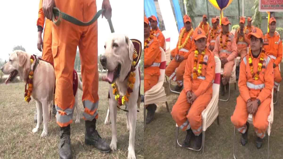 Operation Dost: 'ऑपरेशन दोस्त' पूरा कर लौटा NDRF दल, जांबाज डॉग रेम्बो ...