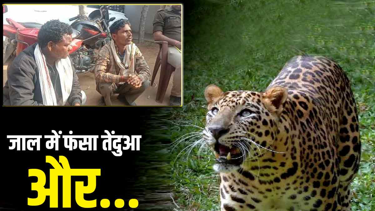 Sonbhadra News: जंगली सूअर को पकड़ने के लिए बिछाया था जाल और फंस गया ...