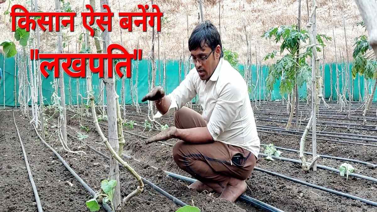 आकाश का कमालः मल्टी लेयर में 44 फसलें किसानों को लखपति बनाने का निकाला फाॅर्मूला Multi Layer 