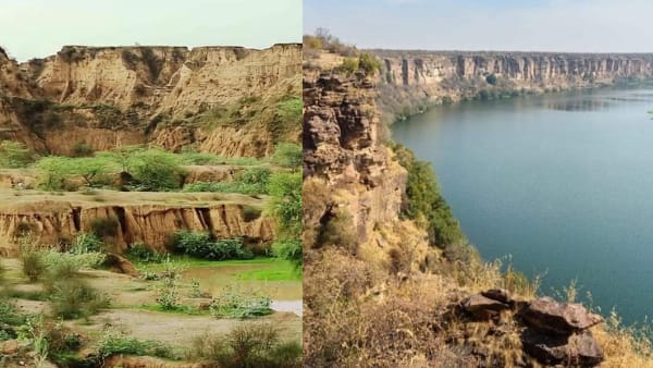 Chambal Beehad Safari: चंबल में बनेगी सफारी, खूंखार डाकुओं के लिए बदनाम ...