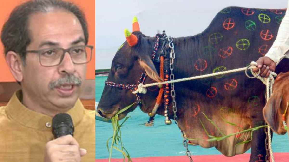 Uddhav Cow Urine: पूर्व सीएम का तीखा सवाल, क्या गोमूत्र छिड़कने से आजाद ...