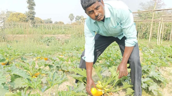 Bihar के पूर्णिया ज़िले में शशिभूषण कर रहे हैं विदेशी सब्ज़ी की खेती ...