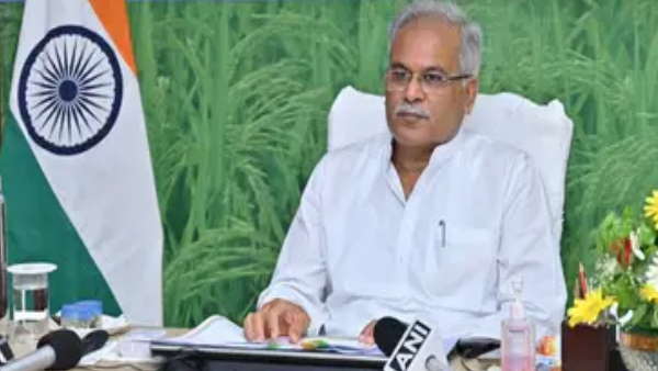 CG News: सभी भूमि स्वामियों को मिलेगा ‘‘मुख्यमंत्री वृक्ष सम्पदा योजना ...