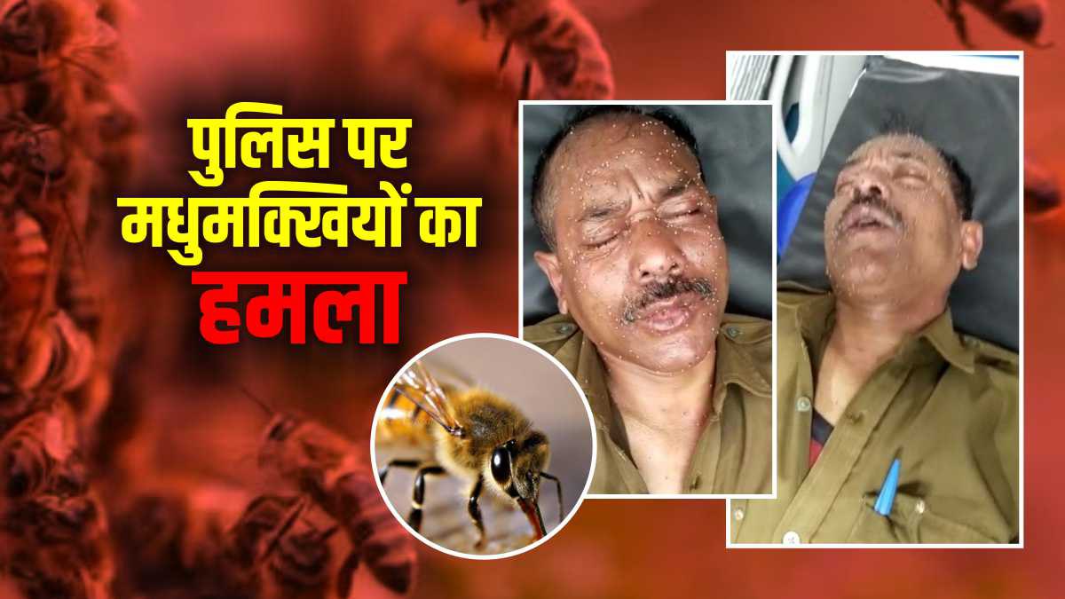 Sagar: पुलिस पर मधुमक्खियों का हमला, एंबुलेंस के ड्राइवर ने साइलेंसर से धुंआ कर बचाई जान | Sagar ...