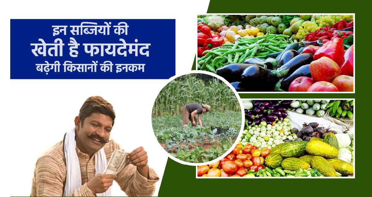 Vegetables Farming: इन सब्जियों की खेती है फायदेमंद, बढ़ेगी किसानों की ...