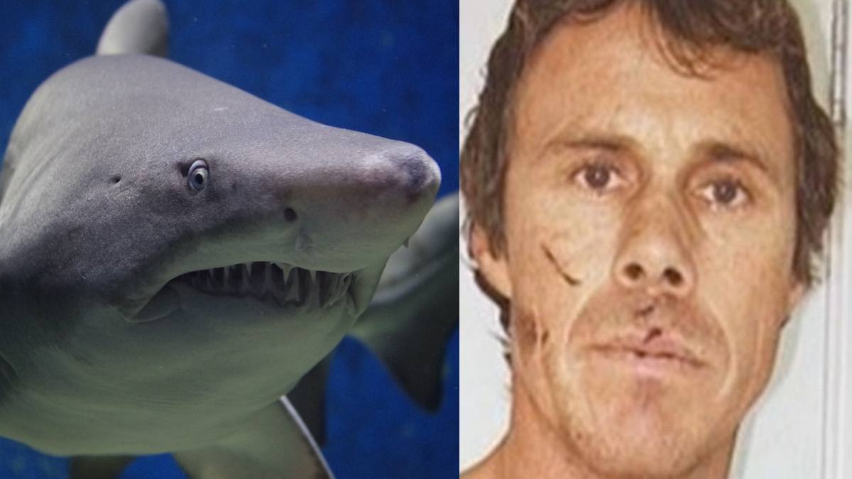 आश्चर्यजनक: शार्क ने गोताखोर को निगला, अचानक हुआ कुछ ऐसा वो बच निकला ...