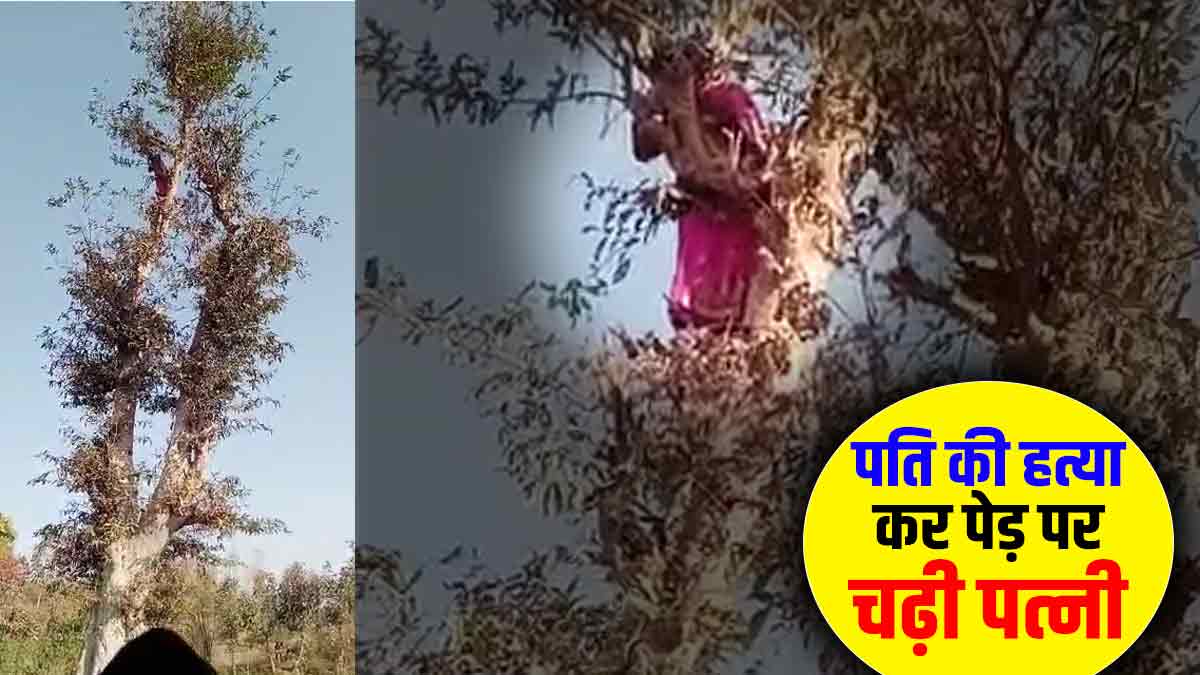 Sonbhadra: पति की हत्या करने वाली पत्नी पेड़ पर चढ़कर देने लगी ...