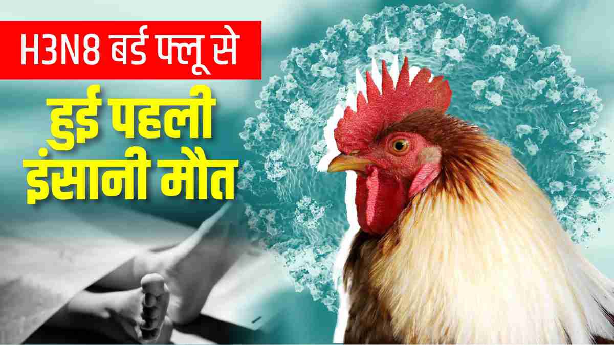 Bird Flu Virus: चीन में बर्ड फ्लू के नए वायरस का कहर! H3N8 से पहली बार इंसान की मौत | China ...