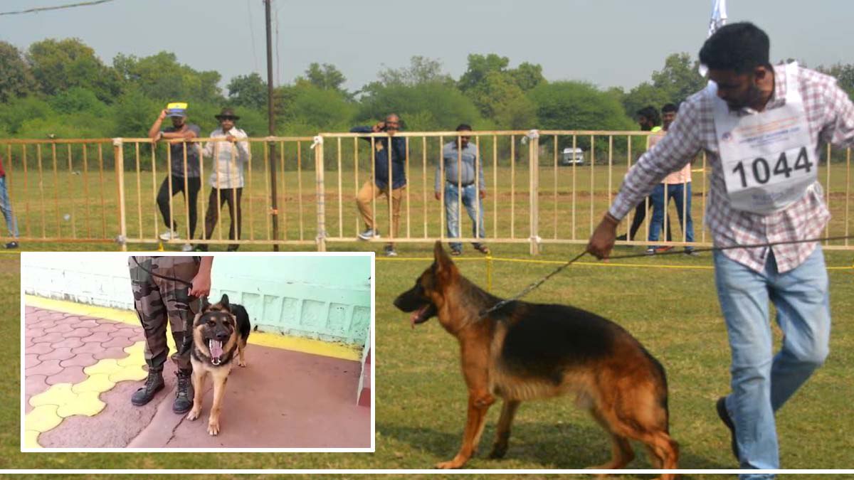 Kuno Century: श्योपुर में अब कूनो सेंचुरी की सुरक्षा करेगी प्रशिक्षित ...