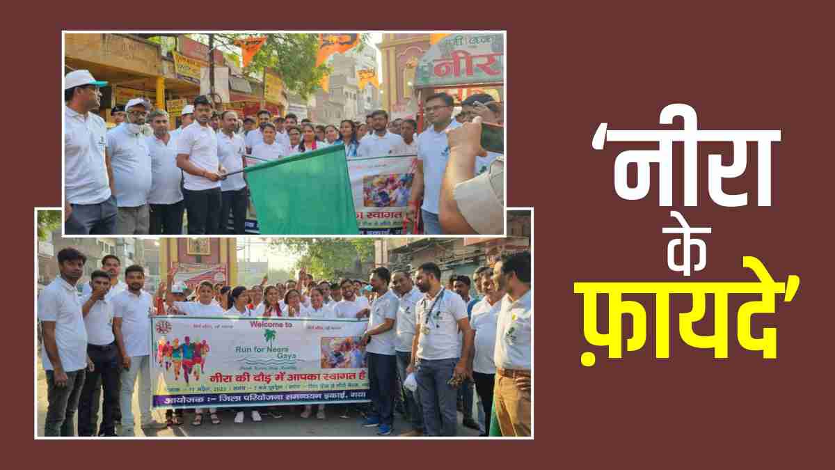 Neera Production: जीविका समूहों द्वारा नीरा उत्पादन को किया जा रहा ...