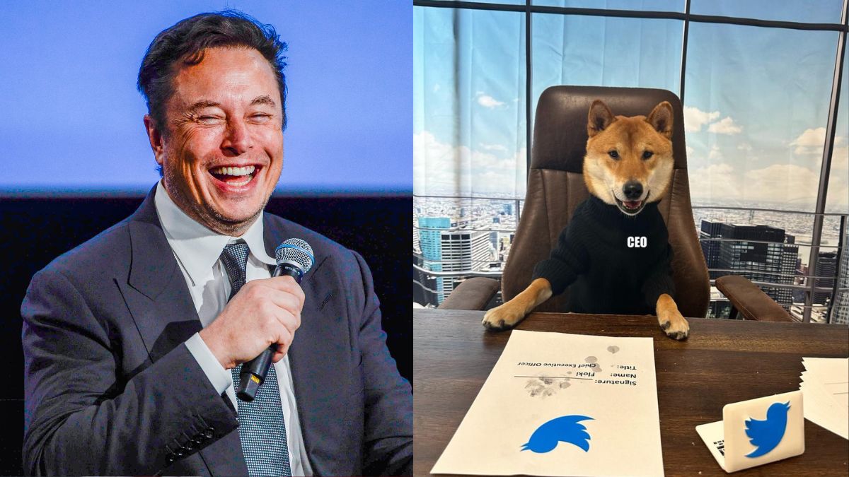 Elon Musk ने अपने डॉगी को फिर बनाया ट्विटर का CEO, कंपनी के हेड के चेयर ...
