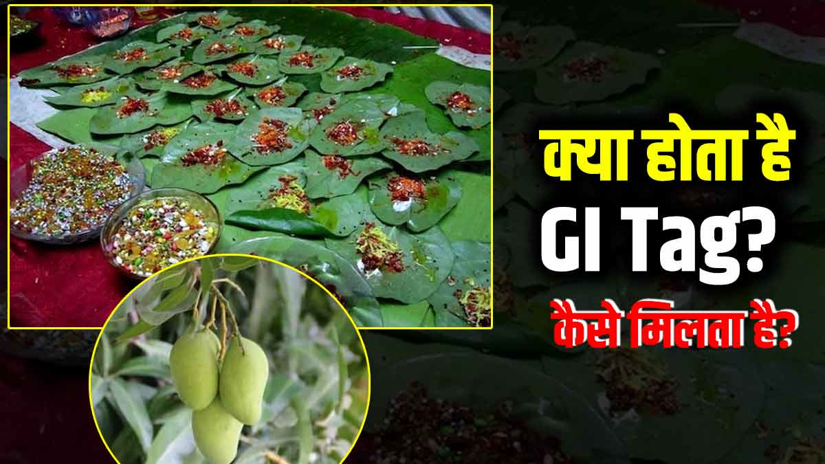 GI Tag क्या है? इससे लंगड़ा आम और बनारसी पान को कैसे मिलेगा फायदा ...