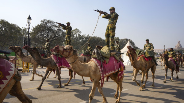 World Camel Day: 22 जून को राष्ट्रीय ऊंट दिवस, जानें रेगिस्तान का जहाज ...