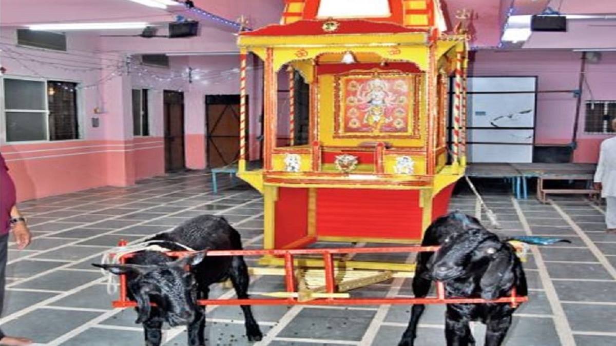 Unique Rath Yatra: बकरे खींचते हैं मरई माता का रथ, 1 क्विंटल नींबू से ...