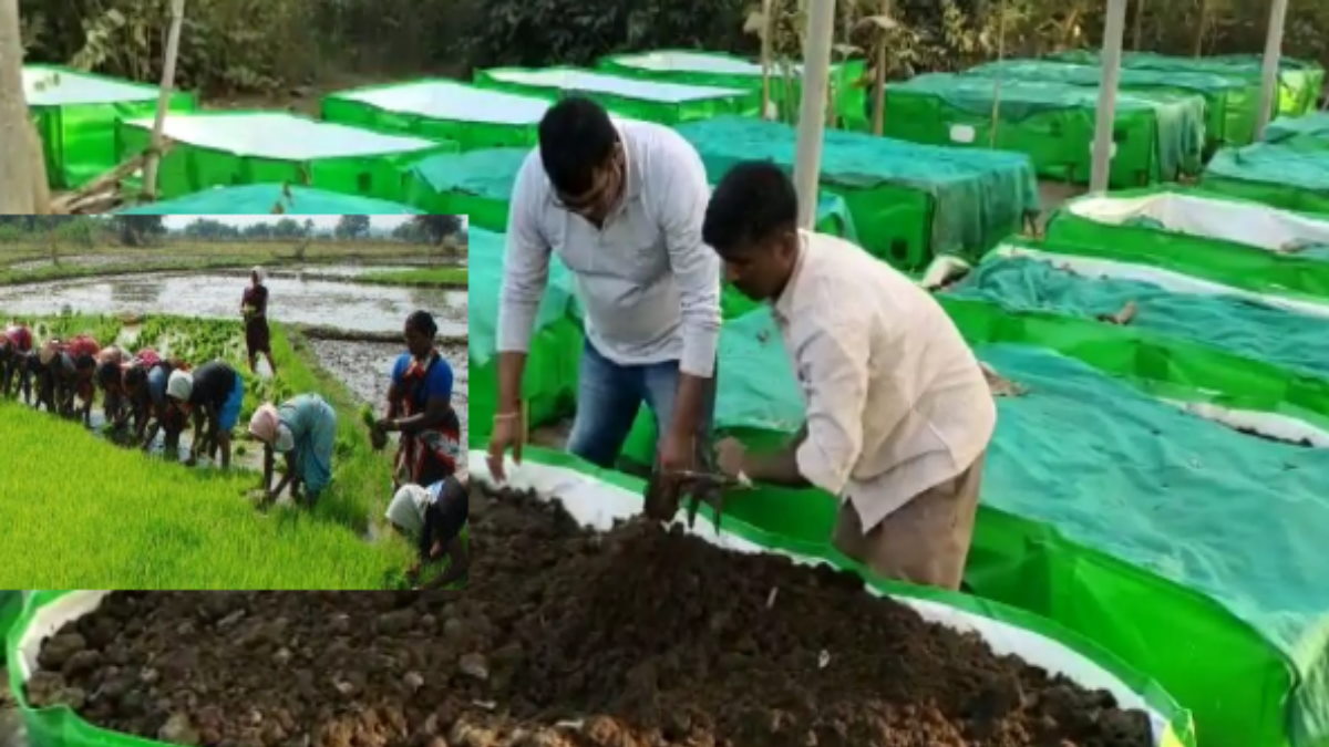 छत्तीसगढ़ में जैविक खेती की ओर किसानों का बढ़ा रूझान | Increased trend ...