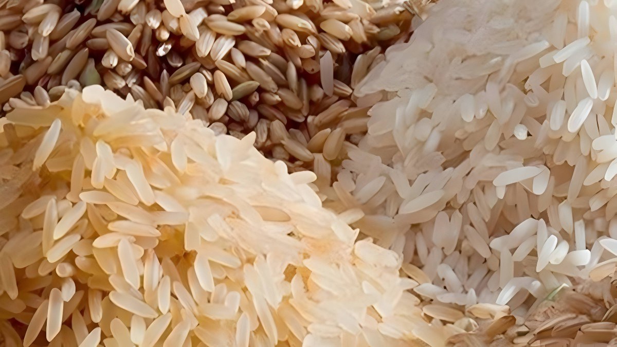 Rice Export Ban: भारत के एक फैसले से अमेरिका के बाजारों से चावल गायब ...