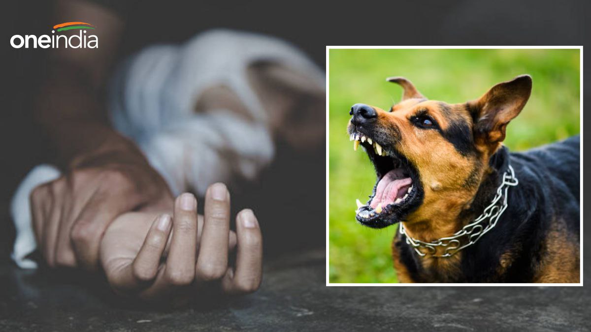 VIDEO: कुत्ते से नहीं बर्दाश्त हुई मालकिन से रेप की कोशिश, काट दिया ...