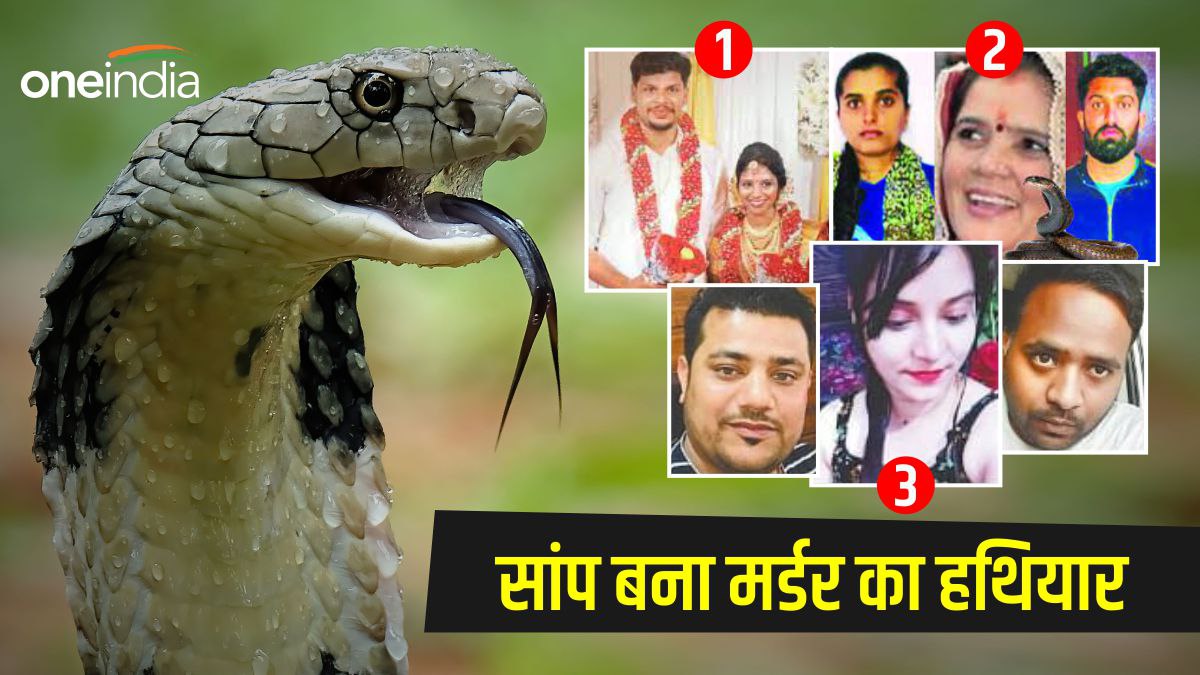 देश के तीन बड़े मामले, जब सांप बना मर्डर का हथियार, किसी ने सास तो किसी ...