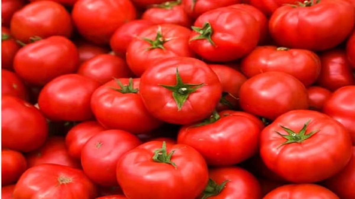 Tomato Price: इस राज्य में टमाटर पहुंचा 250 के पार, जानें दिल्ली समेत अन्य बड़े शहरों का हाल ...