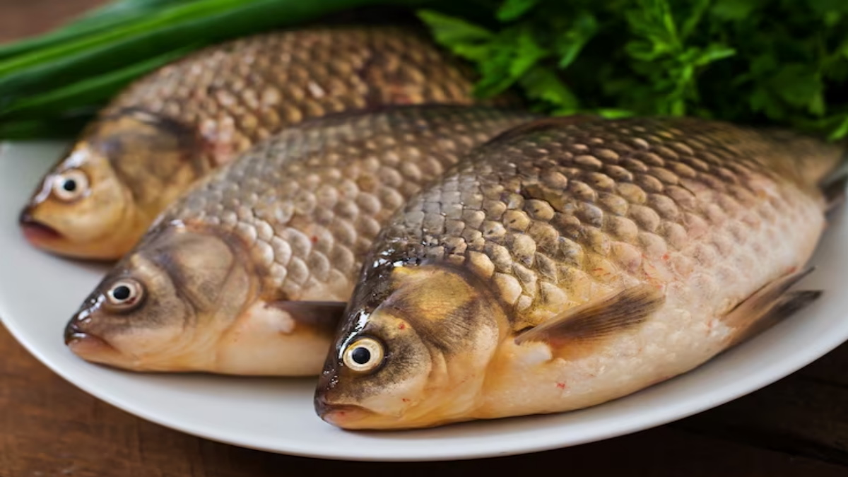 2 किलो की मछली 26 हजार में हुई नीलाम, खासियत जान खरीदारों की लगी थी ...