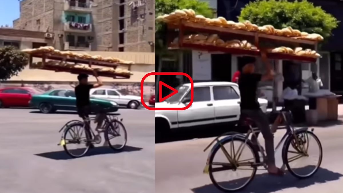 Bizarre: एक हाथ से साइकिल और सिर पर ब्रेड का 2 ट्रे, गजब का बैलेंस, देखें Video | Bicycle with ...