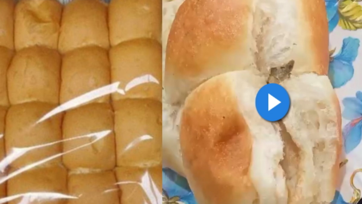 मशहूर दुकान से पाव लाया शख्स, पैकेट खोला तो निकली मरी हुई छिपकली | dead ...